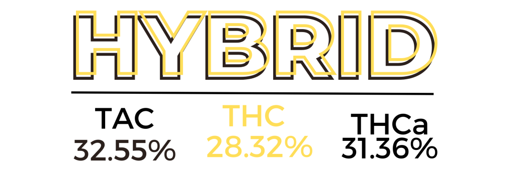 Medcare Farm’s Strains: Super Runtz – Medcare Farms